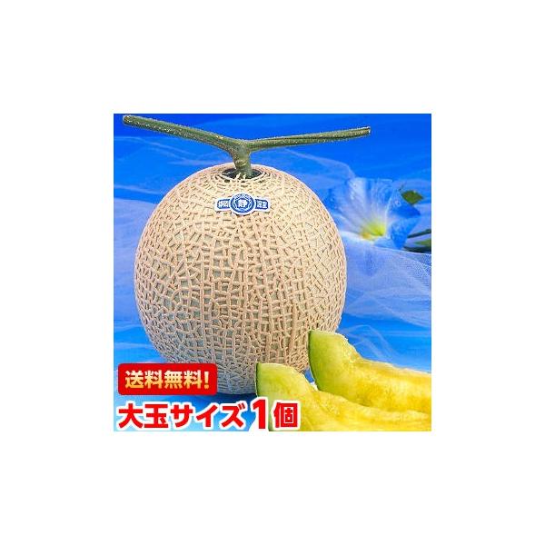 ■商品内容：静岡県産温室メロン 大玉1.5kg×1個■送料について：送料無料（北海道、沖縄へのお届けは別途送料1,000円）■配送期間：6月23日前後〜8月10日まで-------------------------------------...
