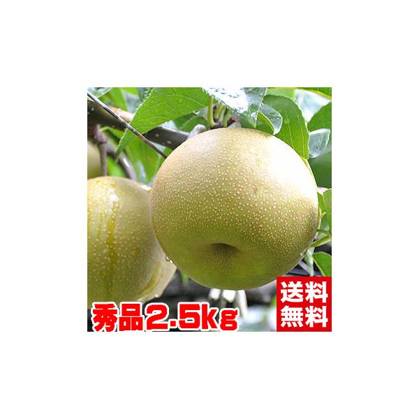 ■商品内容：静岡・愛知県産 光センサー幸水梨秀品 大玉2.5kg（5〜8個）■送料について：送料無料北海道・沖縄・一部離島1000円■配送期間：7月28日前後〜8月8日まで----------------------------------...
