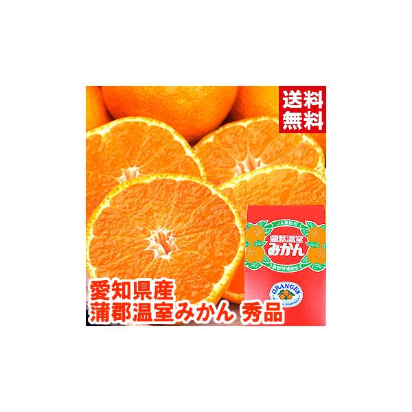 ■商品内容：愛知県産 蒲郡温室みかん秀品Ｍ又はＳサイズ 1.1Kg（12〜18個）父の日メッセージカード・化粧箱入り■送料について：送料無料（北海道、沖縄へのお届けは別途送料1,000円）■配送期間について父の日ギフト…6月18日〜6月21...