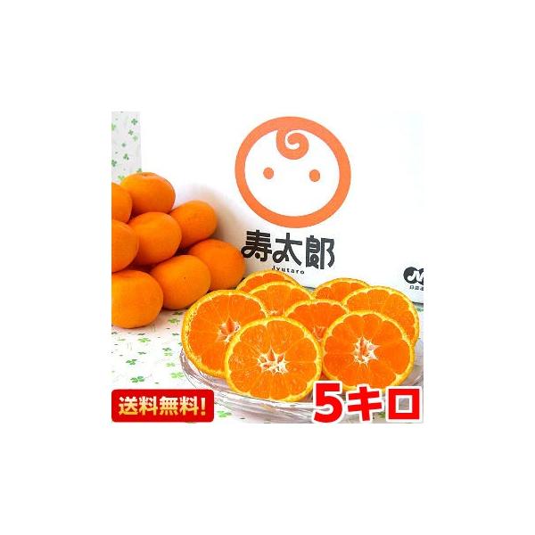 ■商品内容：静岡県産 寿太郎(じゅたろう)みかん赤秀Ｍ・Ｓサイズ5kg（45〜60個前後）■送料について：送料無料（北海道・沖縄・一部離島は1,000円）■配送期間：2月14日〜2月28日頃まで-----------------------...