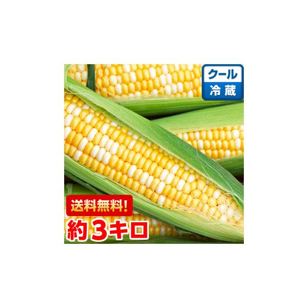 ■商品内容：静岡県産 朝どりとうもろこし甘々娘 約３kg（7〜12本程度）●配送について：ヤマトクール・ゆうパックチルド■送料について：送料無料（北海道、沖縄へのお届けは別途送料1,000円）■配送期間：6月2日前後〜6月20日頃まで※収穫...