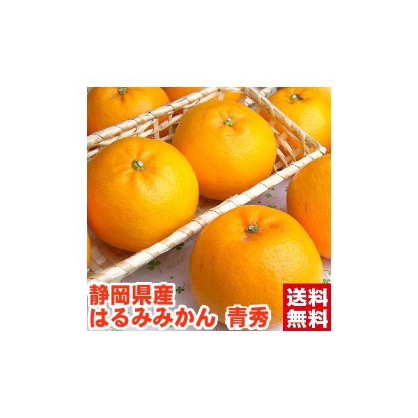 ■商品内容:静岡県産 はるみみかん青秀2L〜Mサイズ2kg（9〜16個）２番手等級のため、キズがあります。 ■送料について：送料無料（北海道・沖縄、一部離島1,000円）■配送期間：2月10日〜3月7日頃まで■サイズについて：静岡県のはるみ...