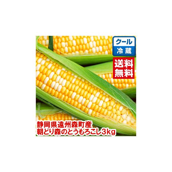 ■商品内容:静岡県産 朝どり 森のとうもろこし約３ｋｇ(３Ｌ〜Ｌサイズ) ７本〜１２本程度■送料について：送料無料（北海道、沖縄へのお届けは別途送料1,000円）■配送について：ヤマトクール・ゆうパックチルド■配送期間：6月25日前後〜7月...