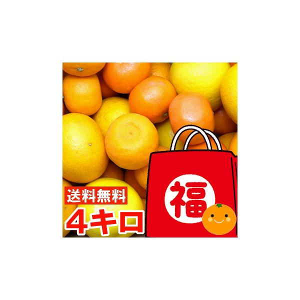 ●商品内容：5品種以上混合4ｋｇお詰めする可能性のある品種三ヶ日青島みかん・太田ぽんかん・蜜るいよかん・甘平・津の輝・デコポン・紅まどんな・大将季・スイートスプリングetc品種のご指定はお受けできません。※ご家庭用のため、若干キズがあります...