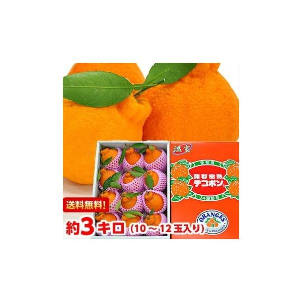 ■商品内容：愛知県蒲郡産 樹熟デコポン赤秀 大玉 約3kg（10〜12個） ■送料について：送料無料（北海道、沖縄、一部離島へのお届けは別途送料1,000円）■配送期間：4月14日〜4月29日頃まで---------------------...
