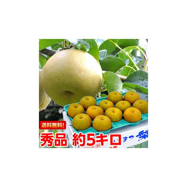 ■商品内容：静岡・愛知産 完熟幸水梨秀品 大玉 約5kg（８〜14個）※産地箱のため重さに増減があります。■送料について：送料無料北海道・沖縄・一部離島は1000円■配送期間：7月28日前後〜8月8日まで------------------...
