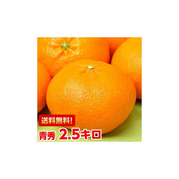 ●商品内容：愛媛県産 甘平(かんぺい)青秀2.5kg（8〜15個）5L〜Lサイズ※２番手等級のためチョイキズがありますが ご贈答用にも使えるレベルです。●箱について：弊社オリジナル段ボール箱での出荷となります。 ●配送について：ヤマト・ゆう...