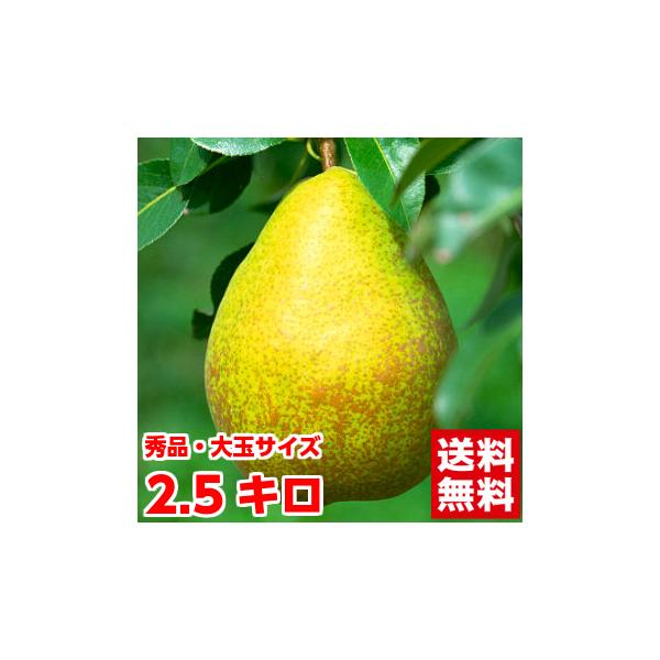 ●商品内容：山形県産 大玉ラ・フランス秀品2.5kg (5〜7個)   ●送料について：送料無料（北海道・沖縄1,000円）●配送期間：10月30日前後〜11月21日頃まで----------------------------------...