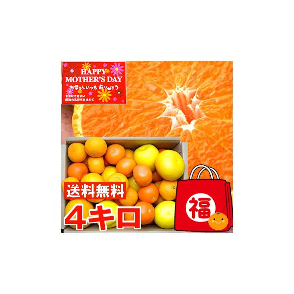●商品内容：5品種以上混合4kg南津海・清見タンゴール・美生柑・五月はっさく・カラマンダリン・セミノール・紅さわ香・ニューサマーオレンジ・樹熟デコポンetc　（発送時期により商品内容が変わります）母の日メッセージカード●配送について：ヤマト...