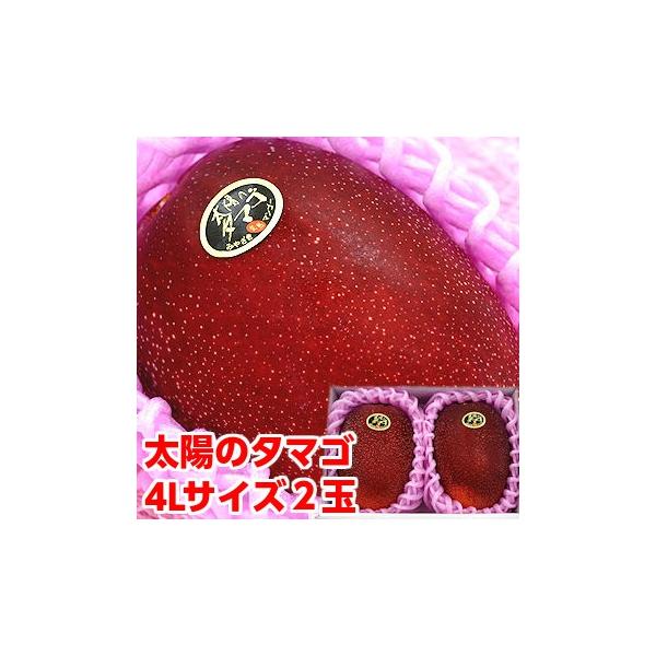 ■商品内容：宮崎県産 太陽のタマゴプレミアム4Lサイズ　500g以上×２個父の日メッセージカード・化粧箱入り●配送について：ヤマトクール・ゆうパックチルド■送料について：送料無料（北海道、沖縄へのお届けは別途送料1,000円）■配送期間につ...
