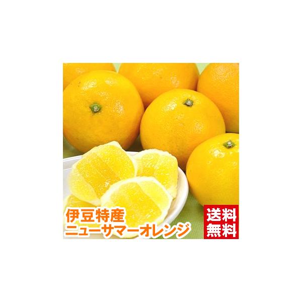 ■商品内容：静岡県伊豆産ニューサマーオレンジ赤秀3L〜Mサイズ3kg（15〜27個）樹成り完熟のため、スリ傷があります。■送料について：送料無料（北海道・沖縄別途1,000円）【離島の冷蔵便切替について】お届けに３日以上かかる地域は、冷蔵便...