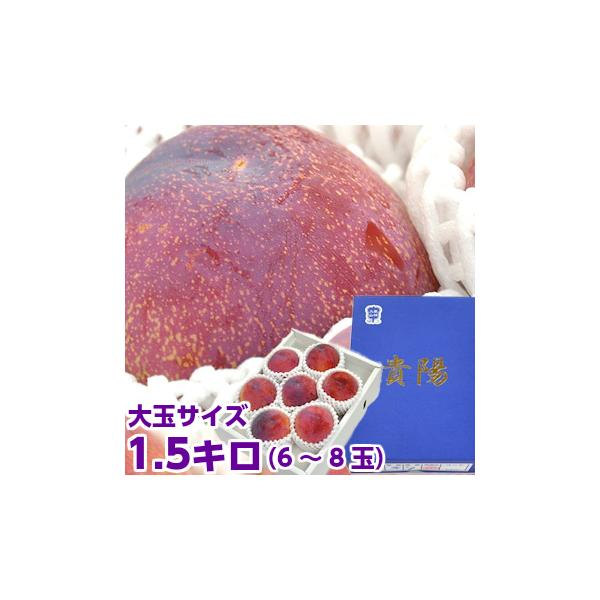 ■商品内容：山梨県産 貴陽（きよう）秀品 大玉サイズ 約1.5kg（6〜9個）※化粧箱のデザインは変わる場合がございます。■配送について：ヤマト・ゆうパック冷蔵便■送料について：送料無料（北海道、沖縄へのお届けは別途送料1,000円）■配送...