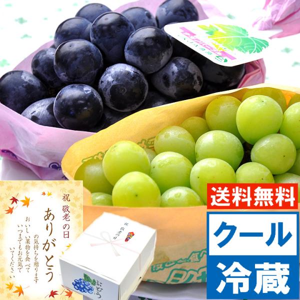 ■商品内容：山梨・長野県産ナガノパープル＆シャインマスカット 秀品 1.1キロ（2〜3房）収穫の都合でサイズ混合となる場合があります。例：ナガノパープル２房・シャインマスカット1房※祝 敬老の日のし紙・メッセージカードつき■配送について：ヤ...