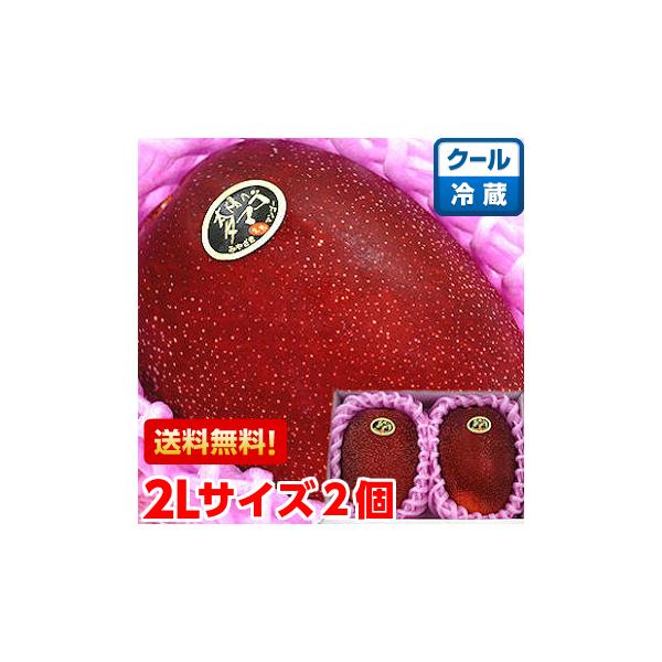 ●商品内容：宮崎県産完熟マンゴー「太陽のタマゴ」2Lサイズ 350g以上×2個　化粧箱入●配送について：ヤマトクール・ゆうパックチルド■送料について：送料無料（北海道、沖縄へのお届けは別途送料1,000円）●配送期間：5月22日〜6月6日頃...