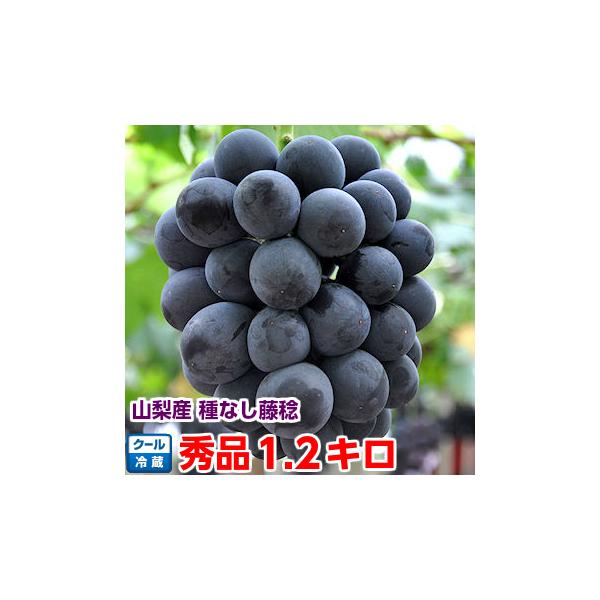 ■商品内容：山梨県産 種なし藤稔（ふじみのり）秀品 1.2キロ（2房入り）※大房の３Ｌサイズをお詰めします。■配送について：ヤマト冷蔵・ゆうパックチルド便■送料について：送料無料（北海道、沖縄、一部離島へのお届けは別途送料1,000円）■配...