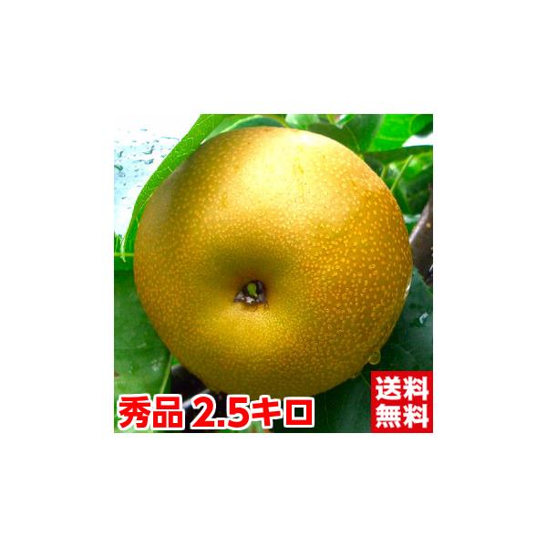 ■商品内容：豊水梨　秀品2.5kg（5〜8個）産地：静岡・愛知県⇒長野県（ 時期により産地が変わります） ■配送について：ヤマト・ゆうパック常温便■送料について：送料無料（北海道・沖縄は別途1,000円）■配送期間：8月26日前後〜9月11...