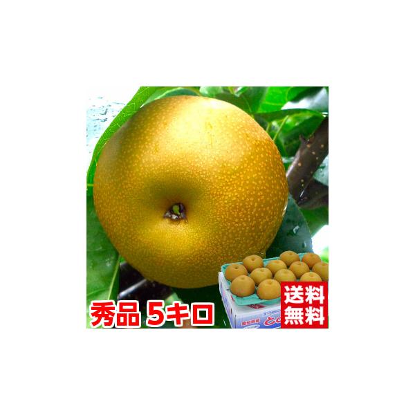 ■商品内容：豊水梨 秀品たっぷり5kg（8〜14個）産地：静岡・愛知県⇒長野県（ 時期により産地が変わります。）■配送について：ヤマト・ゆうパック常温便■送料について：送料無料（北海道、沖縄へのお届けは別途送料1,000円）■配送期間：8月...