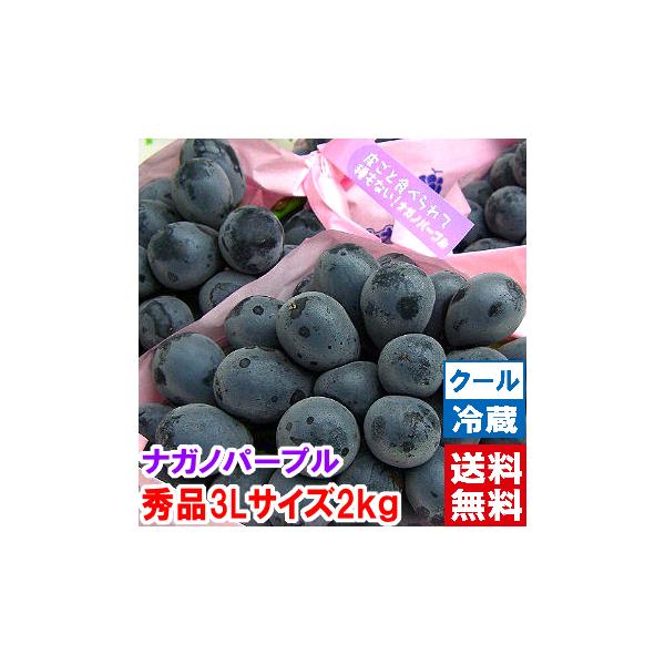 ■商品内容：長野県産 ナガノパープル秀品3Lサイズ以上 2ｋg（3〜4房入）■配送について：ヤマトクール・ゆうパックチルド便■送料について：送料無料（北海道・沖縄は別途1,000円）■配送期間：8月25日前後〜9月19日頃まで※生育状況によ...