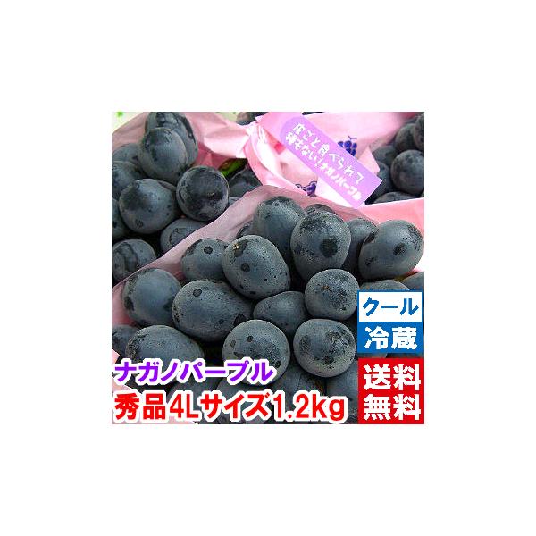 ■商品内容：長野県産　大房ナガノパープル秀品4Lサイズ 1.2kg（2房入り）■配送について：ヤマトクール・ゆうパックチルド便■送料について：送料無料（北海道・沖縄は別途1,000円）■配送期間：8月25日前後〜9月19日頃まで※生育状況に...