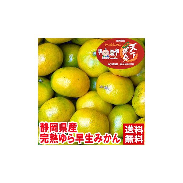 ■商品内容：静岡県産 ゆら早生みかん天下御免 青秀Sサイズ 4kg※「天下御免」は、生産者と園地を限定し、水分コントロールできるマルチ栽培を義務付け光センサーで厳しい基準に合格した物だけが名乗ることが許されるブランドみかんです。■送料につい...