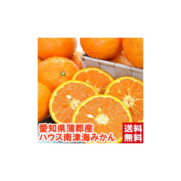 ●商品内容：愛知県産 ハウス南津海みかん秀品2L〜Mサイズ3kg（15〜30個）※開花から一年近く木にならせているため、キズや霜焼けで表皮が黒くなっている果実があります。中身には影響ございませんので、なにとぞご了承ください。 ●配送について...