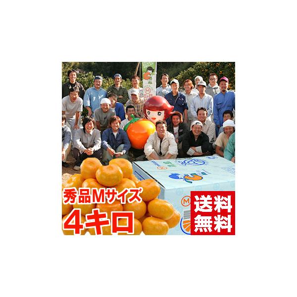 ●商品内容：静岡県産 三ヶ日(みっかび)みかん青島種　秀品Mサイズ4kg（48個前後） ●等級について：秀品…ハイテクの光センサー選果システムで、上位数％程度しか選果されないご贈答用に最適な等級です。●配送について：ヤマト・ゆうパック常温便...