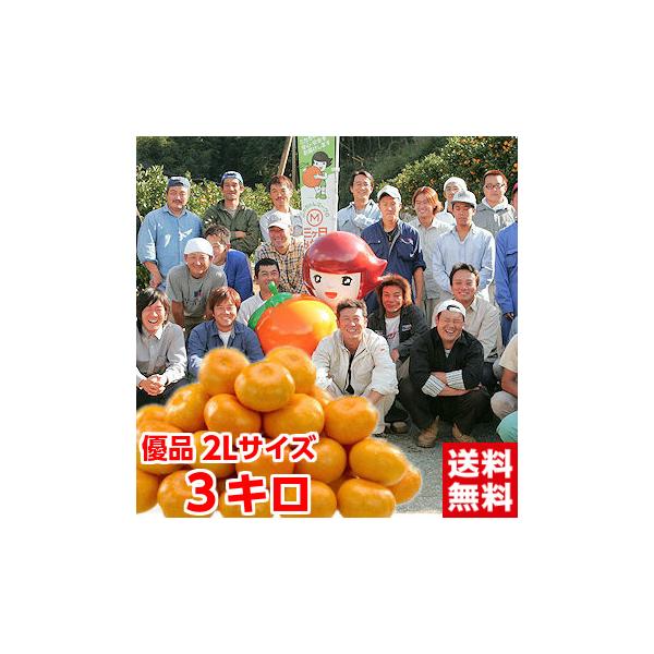 ●商品内容：静岡県産 三ヶ日(みっかび)みかん青島種　優品２Ｌサイズ3kg（22個前後）※弊社オリジナル箱でのお届けとなります。 ●等級について：優品…ハイテクの光センサー選果システムで、最も多く収穫される中心グレードです。もちろん贈答用に...