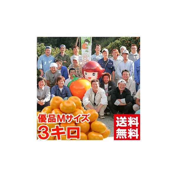 ●商品内容：静岡県産 三ヶ日(みっかび)みかん青島種　優品Mサイズ3kg（36個前後）※弊社オリジナル箱でのお届けとなります。 ●等級について：優品…ハイテクの光センサー選果システムで、最も多く収穫される中心グレードです。もちろん贈答用にも...