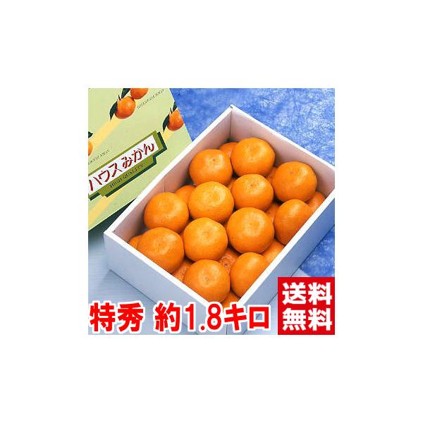■商品内容：静岡県産浜名湖ハウスみかん特秀 L〜Ｓサイズ 1.8Kg※おおよそ13〜25個前後同一箱内でサイズ混合はいたしません。■送料について：送料無料（北海道・沖縄・一部離島1,000円）■配送期間：6月27日前後〜7月31日頃まで--...