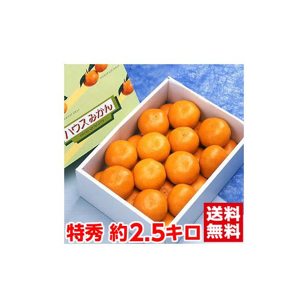 ■商品内容：静岡県産浜名湖ハウスみかん特秀 L〜Ｓサイズ 2.5Kg※おおよそ20〜36個前後同一箱内でサイズ混合はいたしません。■送料について：送料無料（北海道・沖縄・一部離島1,000円）■配送期間：6月27日前後〜7月31日頃まで--...