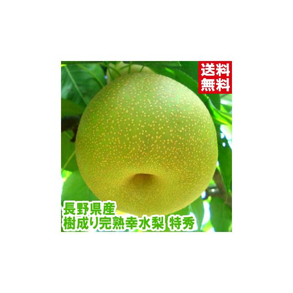 ■商品内容：長野県産 樹成り完熟幸水梨 特秀 大玉2.5kg（5〜8個）■配送について：ヤマト・ゆうパック常温便■送料について：送料無料（北海道・沖縄、一部離島1,000円）■配送期間：8月18日前後〜9月5日頃まで------------...