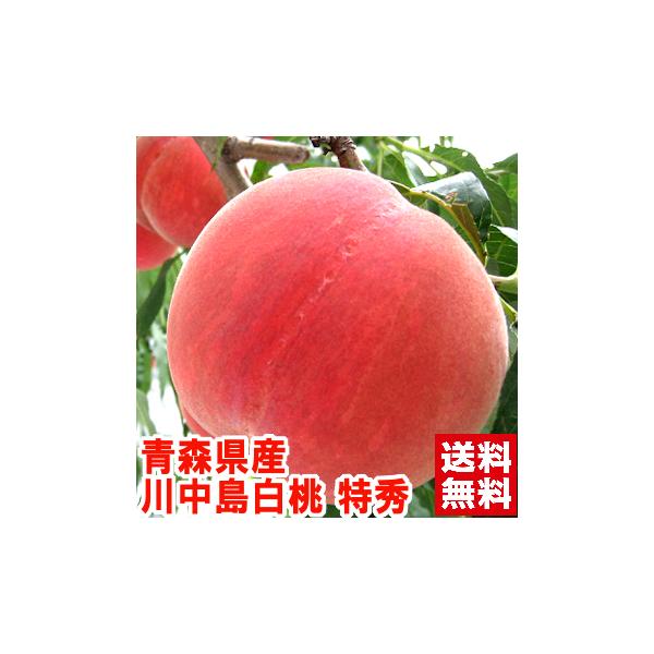 ■商品内容：青森県産 津軽の桃川中島白桃 特秀1.6kg（5〜7個)■配送について：ヤマト・ゆうパック冷蔵便■送料について：送料無料（北海道・沖縄、一部離島1,000円）■配送期間：8月25日前後〜9月5日頃まで--------------...