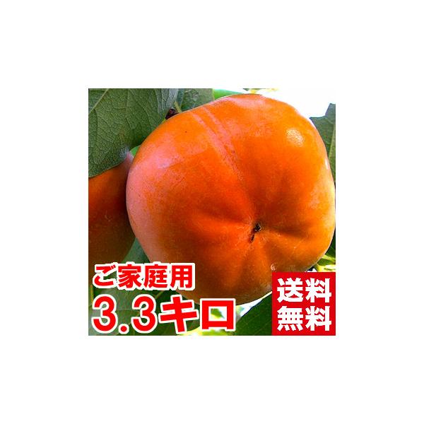 品内容：静岡県産 次郎柿訳あり 約3.3kg（8〜14個）■送料について：送料無料（北海道・沖縄1,000円）■配送期間：11月10日前後〜11月28日頃まで-----------------------------------------...