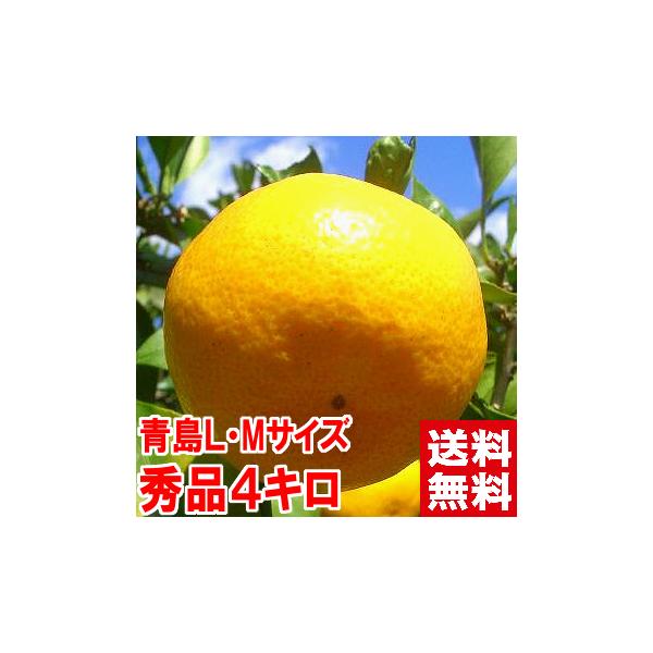 ●商品内容：静岡県産 奥平山三ヶ日青島みかん秀品L・Mサイズ4kg（28〜36個）※同一箱内でサイズ混合はしません。※貯蔵性に優れた品種のため中袋は若干厚めです。■送料について：送料無料（北海道・沖縄、一部離島1,000円）●配送期間：1月...