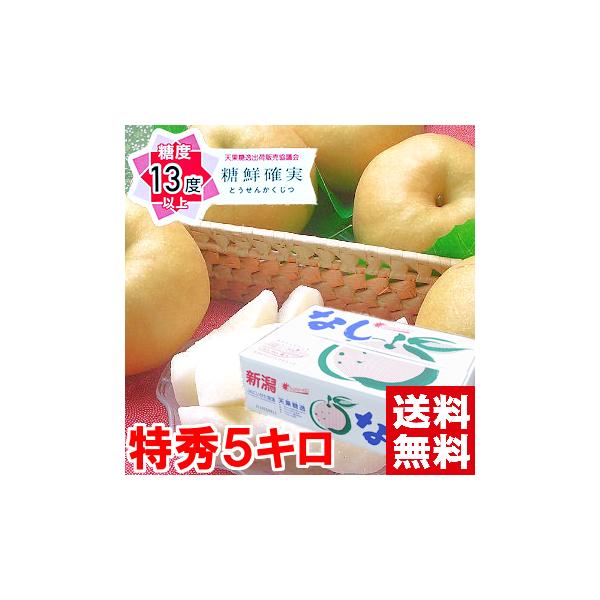 ■商品内容：新潟県産 大玉 新高梨特秀 糖鮮確実5kg（5〜8個）■送料について：送料無料（北海道800円・沖縄は別途1,000円）■配送期間：10月9日前後〜10月24日頃まで-------------------------------...