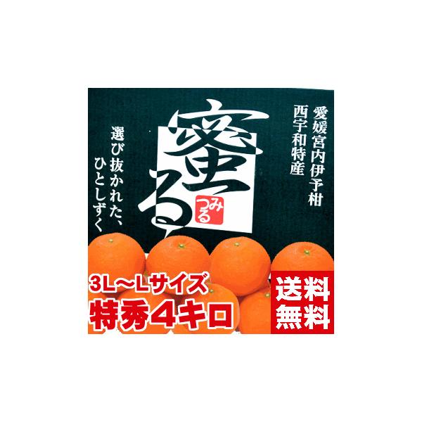 ■商品内容：愛媛県産いよかん「蜜る」特秀3L〜Lサイズ 4kg（15〜18個）★★★弊社オリジナルの箱となります★★★■配送について：ヤマト・ゆうパック常温便 ■送料について：送料無料（北海道・沖縄、一部離島1,000円）■配送期間について...