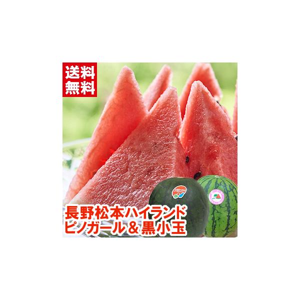 ■商品内容：長野県産 ピノガール＆黒小玉秀品3Lサイズ1個or2個（1個 2kg前後）※品質によっては山形県産に変更する場合もございます。■ピノガールについて従来のすいかと比べ種のサイズが約4分の1と、タネごと食べてもほとんどの人は気になら...