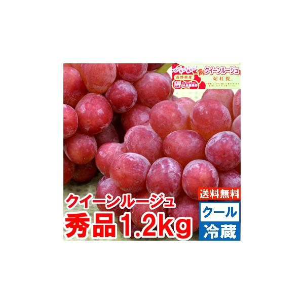 ■商品内容：長野県産 大房クイーンルージュ秀品1.2kg（2房）■配送：ヤマトクール・ゆうパックチルド便■送料について：送料無料（北海道・沖縄は別途1,000円）■配送期間：9月15日前後〜10月17日頃まで※配送期間は前後する場合がござい...