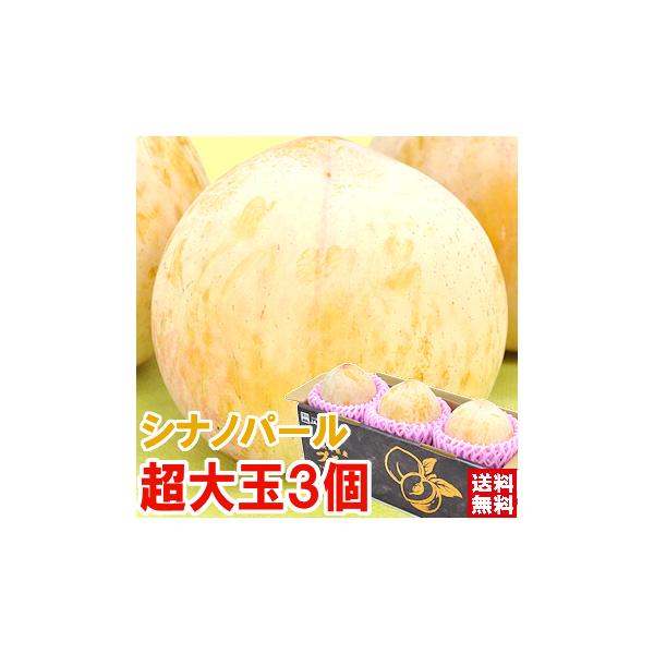 ■商品内容：長野県産 シナノパール プラム秀品 超大玉３個（約1kg）■送料について：送料無料（北海道・沖縄は別途1,000円）■配送期間：9月25日前後〜10月10日頃まで---------------------------------...