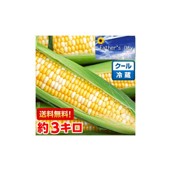 ■商品内容：静岡産 朝どりとうもろこし「甘々娘」約３kg（３Ｌ〜Ｌサイズ） ７本〜１２本程度●父の日メッセージカードつき※サイズ指定はお受けできません。★通常ギフトとしてご購入の場合は、通常販売コーナーをご確認ください。〜〜〜〜〜〜〜〜〜〜...