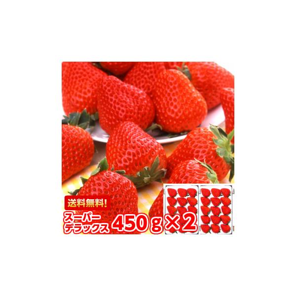 ●商品内容：静岡県産 大粒紅ほっぺいちご約450ｇ×2パック（24〜30粒）●時間指定について：時間指定の関係で、お届けまで2日かかってしまう場合、変更をお願いする場合がございます。●配送について：ヤマト・ゆうパック冷蔵便■送料について：送...