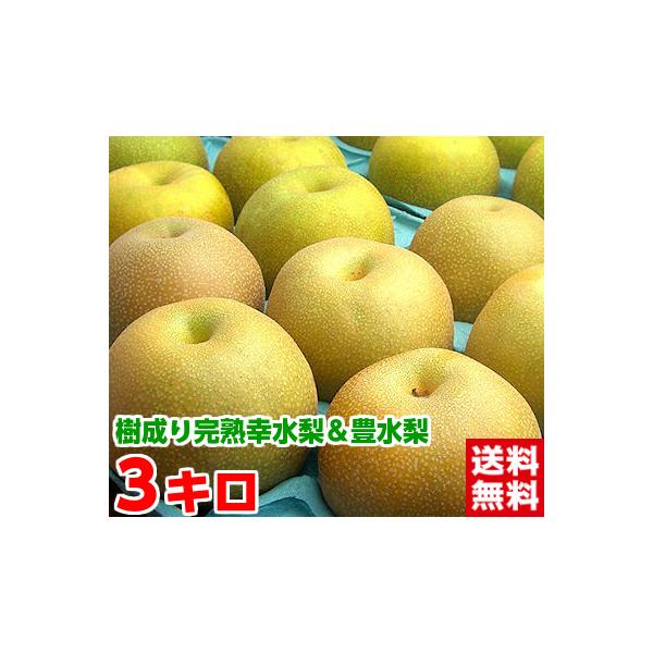 ■商品内容：樹成り完熟幸水梨＆豊水梨3kg（6〜12個）内訳：豊水梨3〜6個　幸水梨3〜6個（各約1.5kg）※バランス良くお詰めいたしますが、品種の違いにより、多少重さは増減する場合があります。 (例：幸水梨1.8kg　豊水梨1.2kg)...