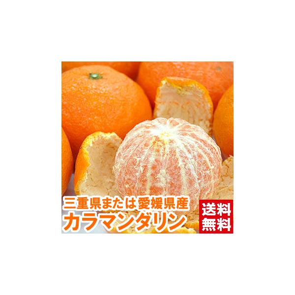 ●商品内容：愛媛県産 カラマンダリン赤秀3L〜Lサイズ 2kg（12〜18個）※開花から一年近く木にならせているため、キズや霜焼けで表皮が黒くなっている果実があります。中身には影響ございませんので、なにとぞご了承ください。 ●配送について：...