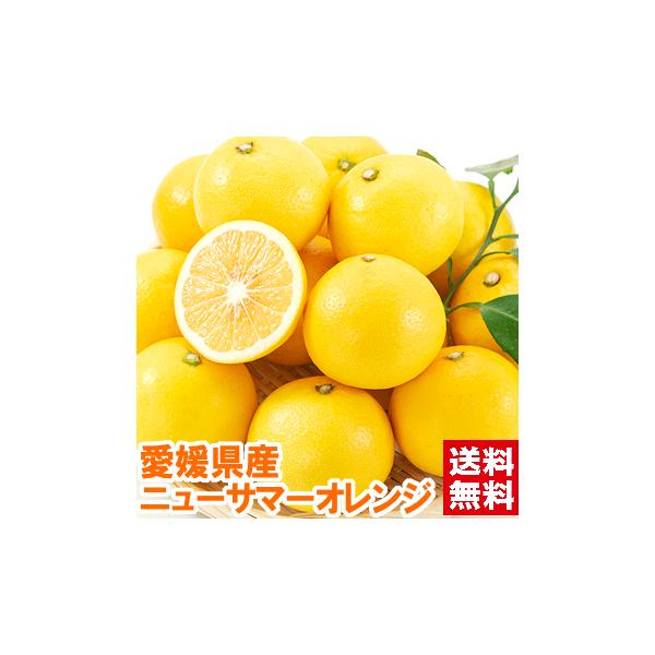■商品内容：愛媛県産ニューサマーオレンジ赤秀2L〜Mサイズ3kg（18-27個前後)樹成り完熟のため、スリ傷があります。■送料について：送料無料（北海道・沖縄別途1,000円）【離島の冷蔵便切替について】お届けに３日以上かかる地域は、冷蔵便...