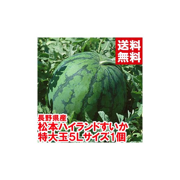 ■商品内容：長野県産松本ハイランドすいかA品5Lサイズ11kg前後１個■配送について：ヤマト・ゆうパック常温便■送料について：送料無料（北海道、沖縄、一部離島へのお届けは別途送料1,000円）■配送期間：7月12日前後〜7月31日ごろまで ...