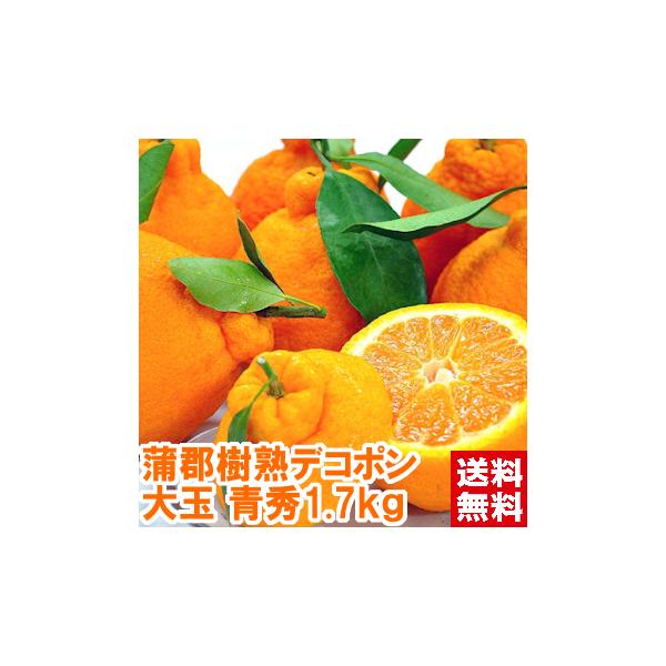 ■商品内容：愛知県蒲郡産 樹熟デコポン青秀 大玉1.7kg（5〜8個） ※2番手等級のためチョイ傷があります■送料について：送料無料（北海道、沖縄、一部離島へのお届けは別途送料1,000円）■配送期間：4月8日〜4月29日頃まで------...