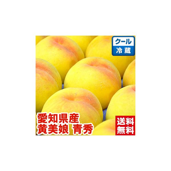 ■商品内容：愛知県産　ご家庭用 黄美娘（きみこ）青秀 大・中・小玉1.6kg（5〜10個）※2番手等級のため、チョイキズ・多少の打身がございます。※当店オリジナルの段ボール箱になります。※サイズはお選びいただけません。■配送について・ヤマト...