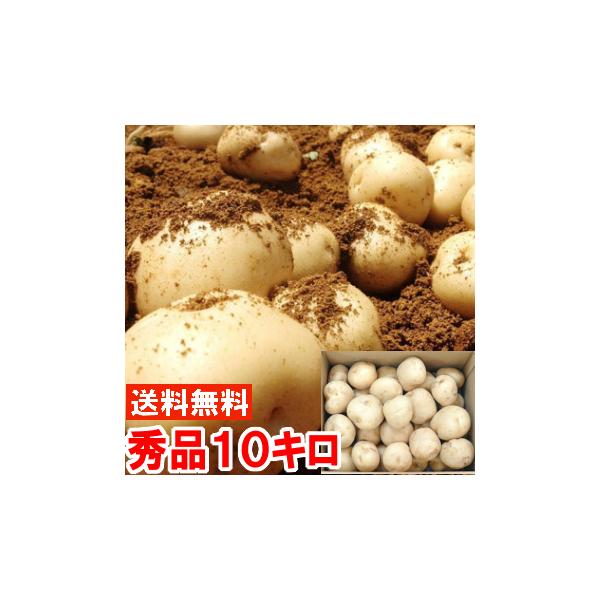 ■商品内容：静岡県産 三方原馬鈴薯男爵 秀品Mサイズ10kg（80-100個前後）■送料について：送料無料（北海道、沖縄へのお届けは別途送料1,000円）■配送期間：5月27日〜6月30日頃まで-----------------------...