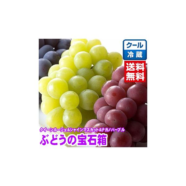 ■商品内容：山梨県・長野県産 クイーンルージュ＆シャインマスカット＆ナガノパープル 秀品 約2kg（3房入）■配送：ヤマトクール・ゆうパックチルド便■送料について：送料無料（北海道・沖縄、一部離島1,000円）■配送期間：9月15日前後〜9...