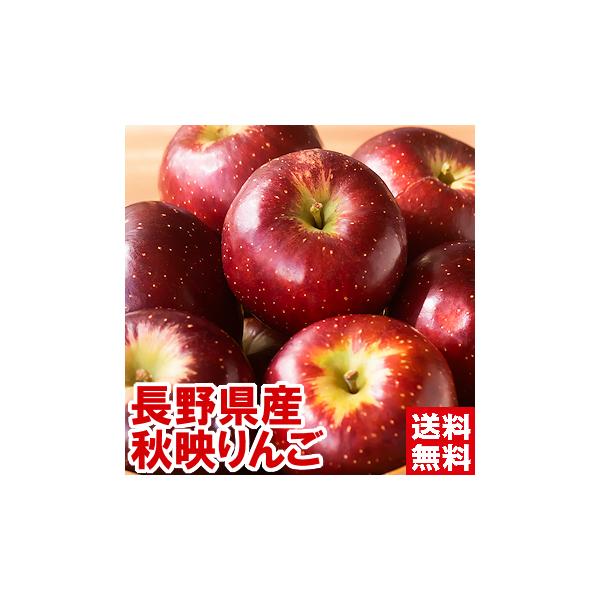 ■商品内容：長野県産 秋映りんご特秀5kg（11〜14個）■送料について：送料無料（北海道・沖縄は別途1,000円）■配送期間：10月2日前後〜10月24日頃まで---------------------------------------...